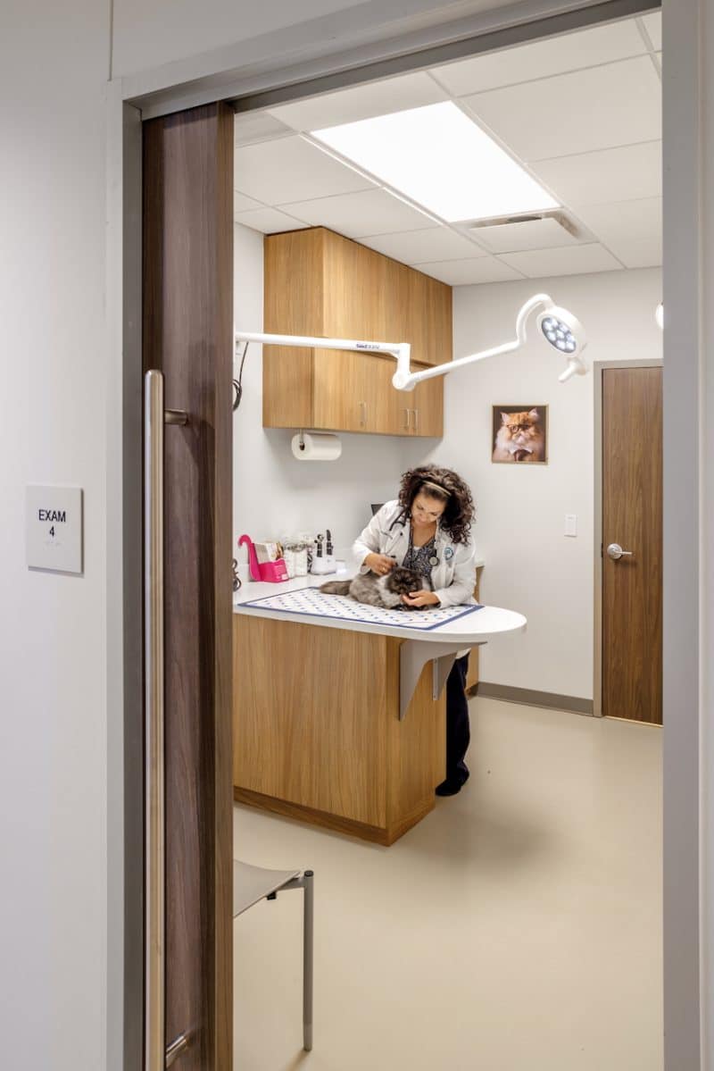 Animal Hospital Tour in Buda | Buda Vet Care