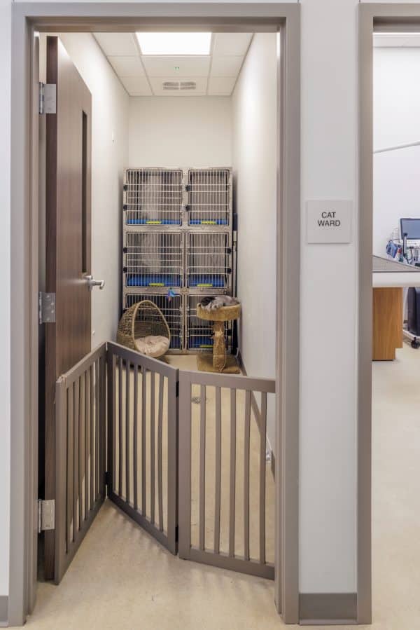 Animal Hospital Tour in Buda | Buda Vet Care